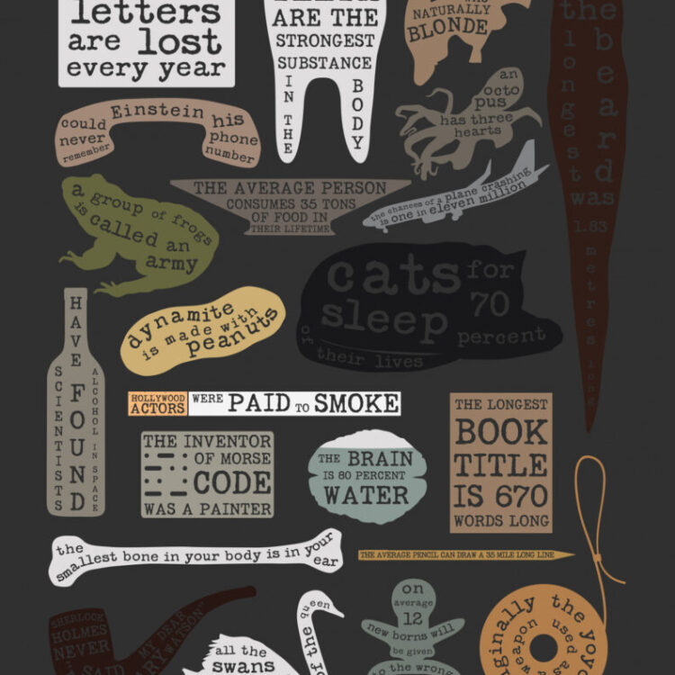 3059d233377888a06e2b46db5abf7b54-hd2.jpg
