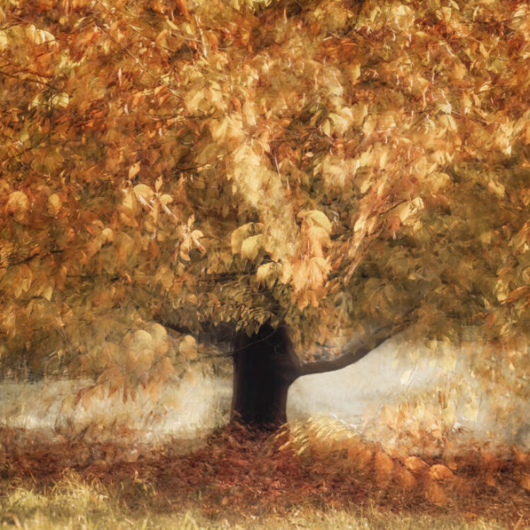 3d588a3375fbf2c98820222b8976f587-hd2.jpg